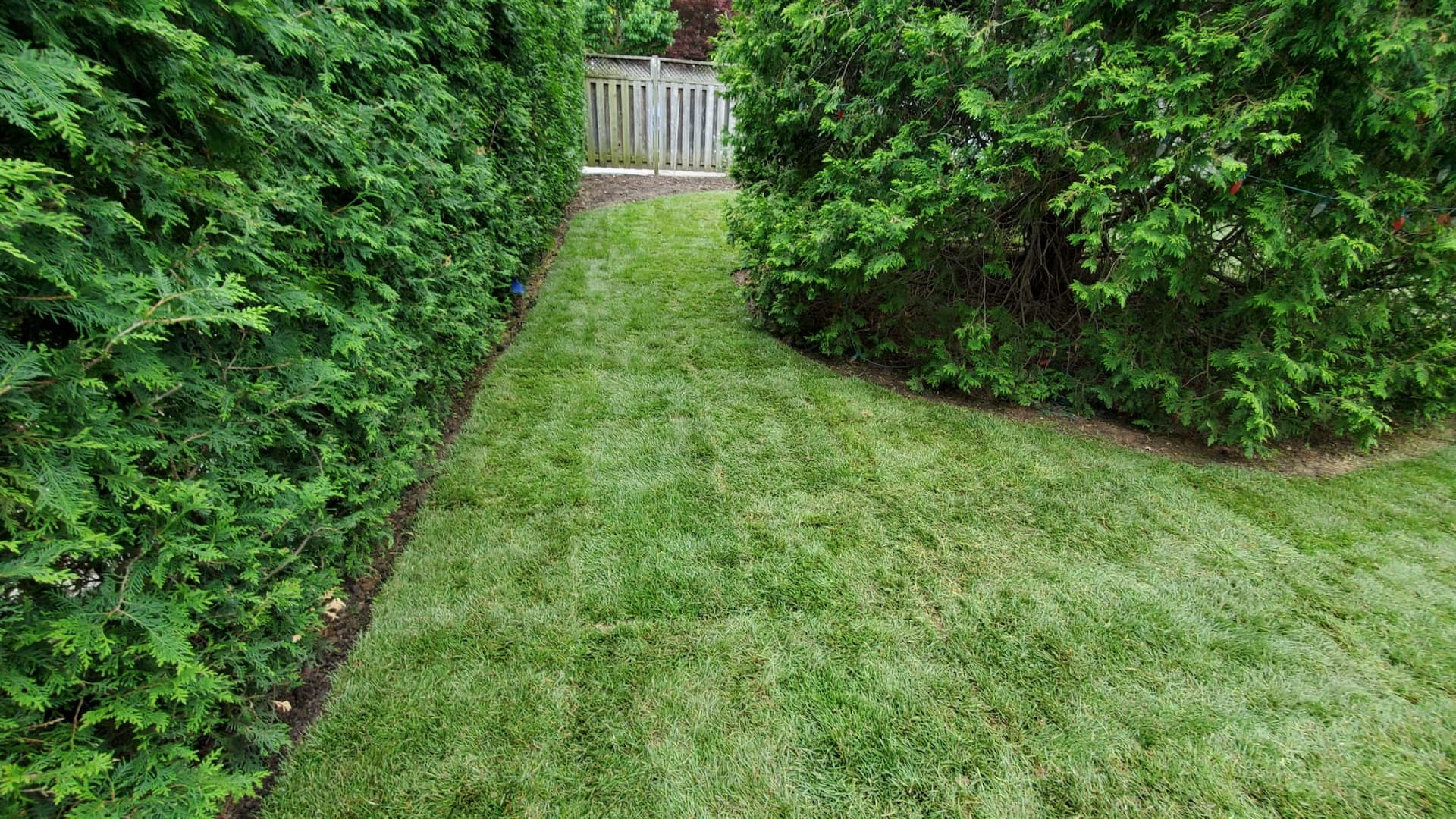 Softscape Services Toronto GTA - Niko's Gardening